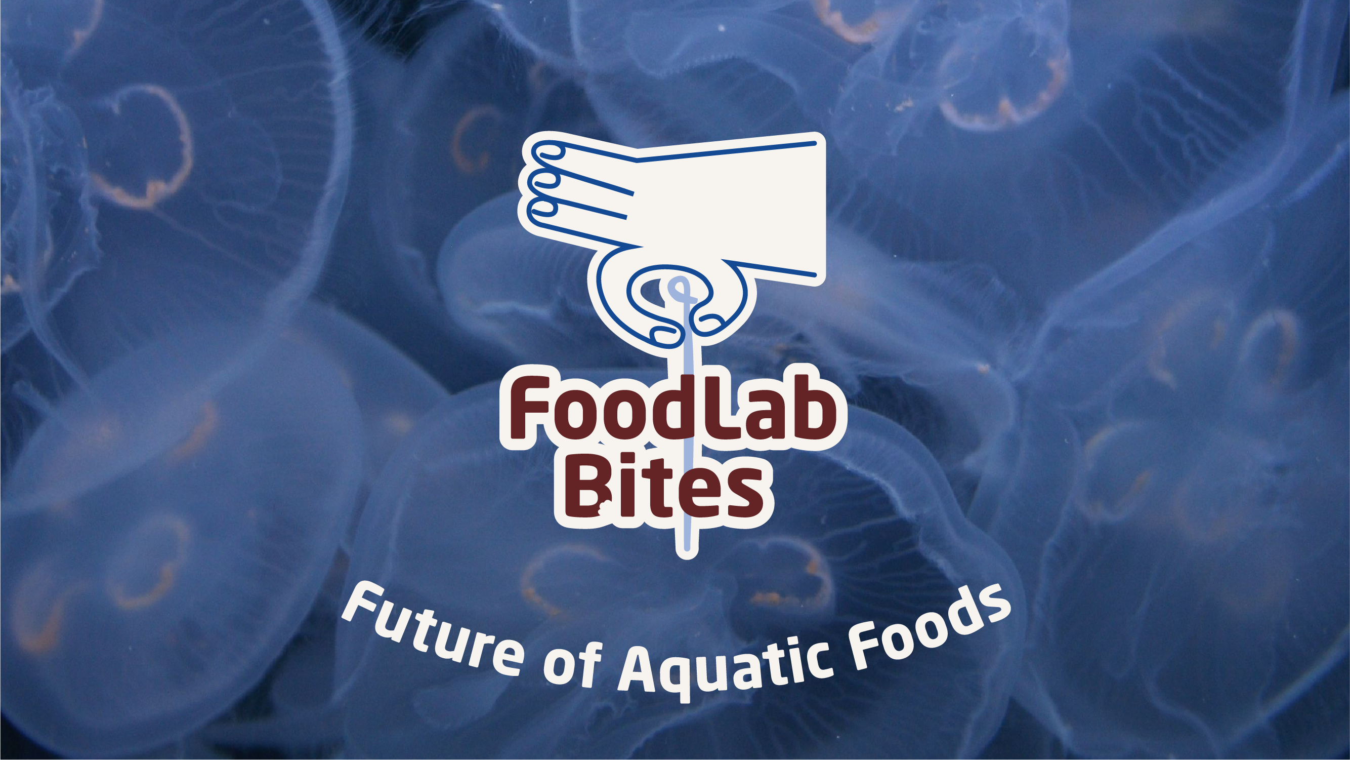 FoodLab Bites